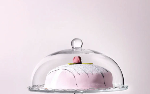Cloche à gâteaux 33 cm - Kitchenart.ma | Livraison partout au Maroc